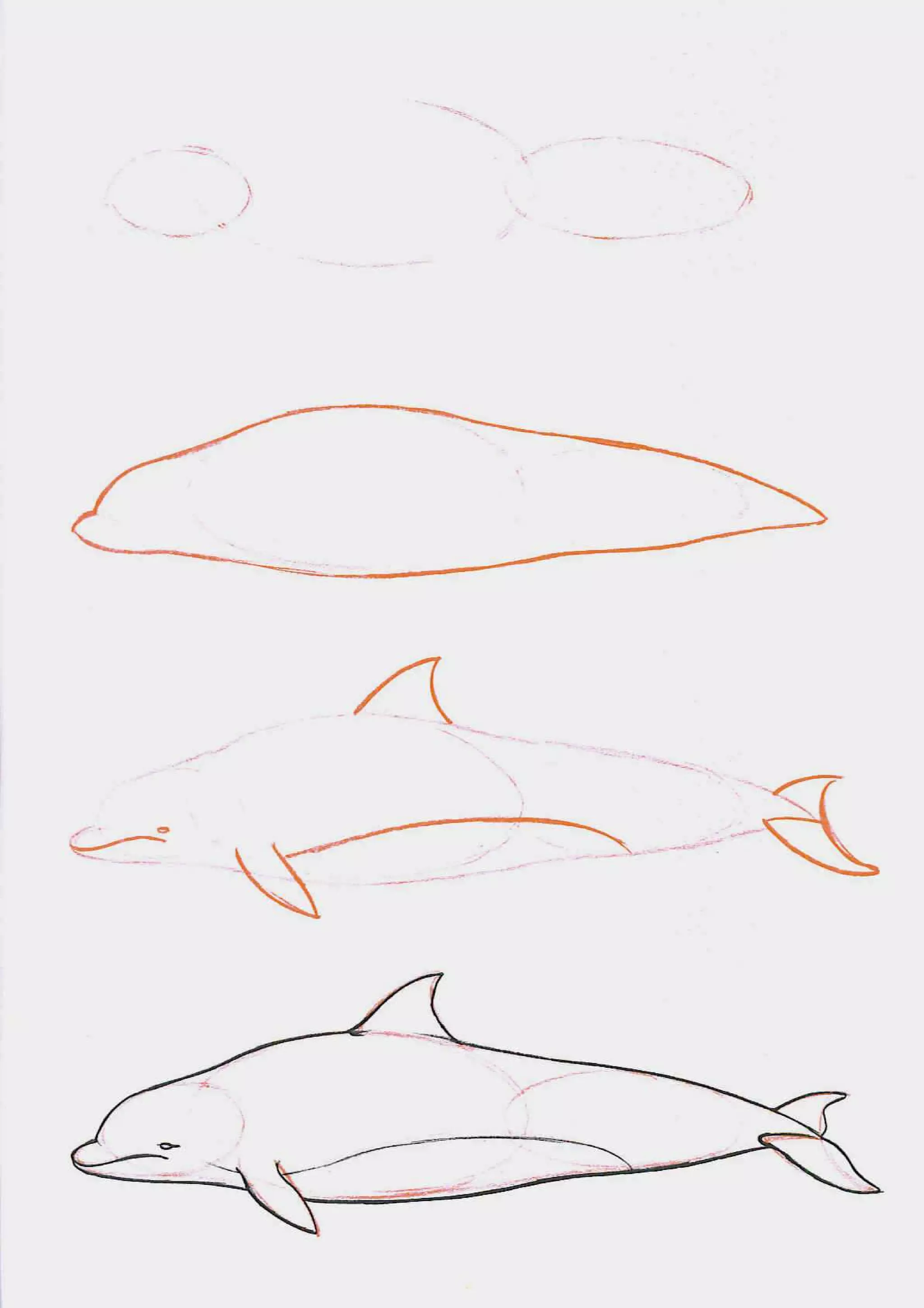 001 draw-50-animals | PDF