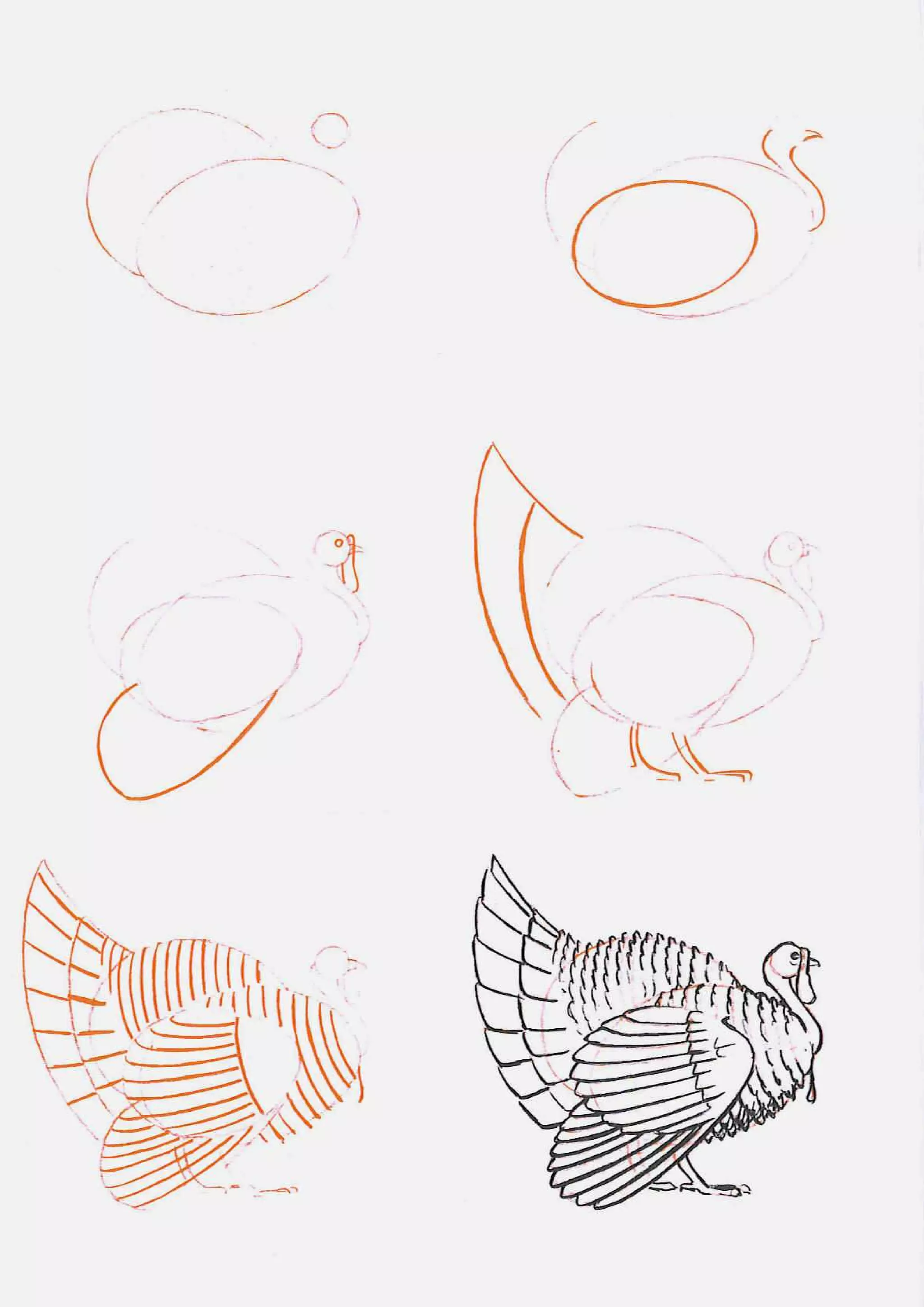 001 draw-50-animals | PDF
