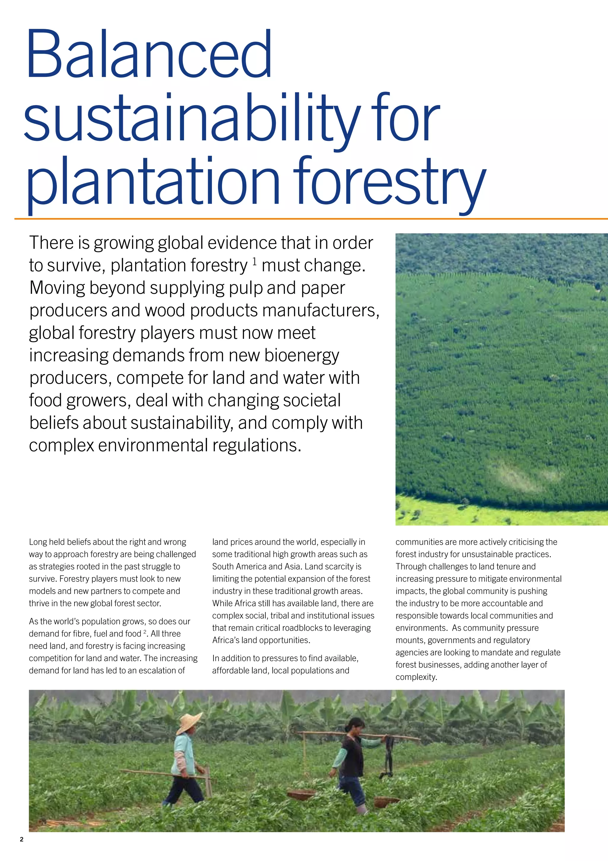 Poyry - How must plantation forestry change to survive? - Point of View ...
