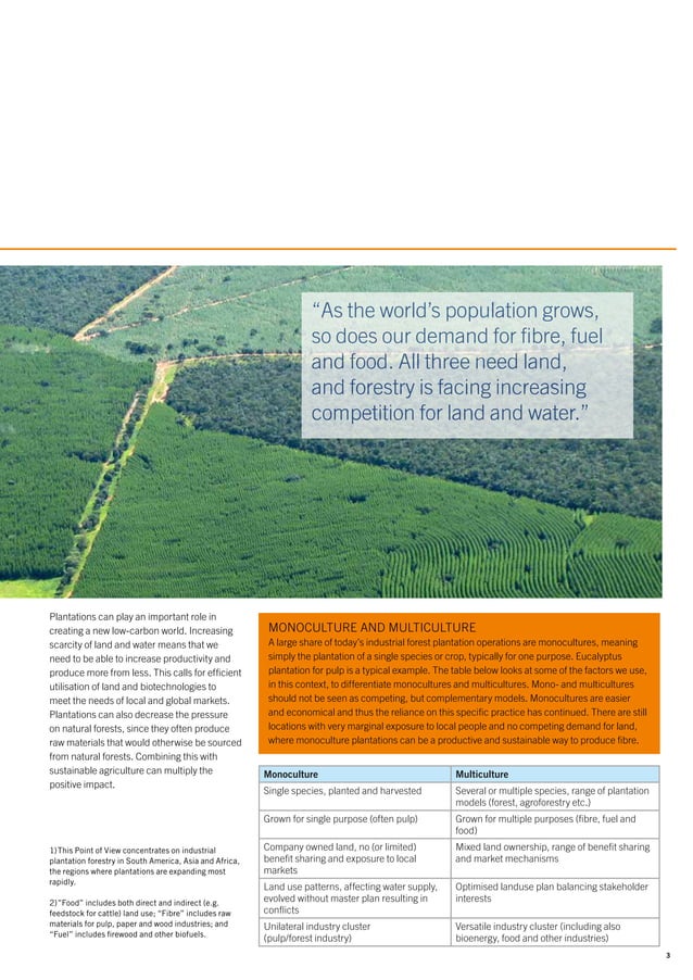 Poyry - How must plantation forestry change to survive? - Point of View ...