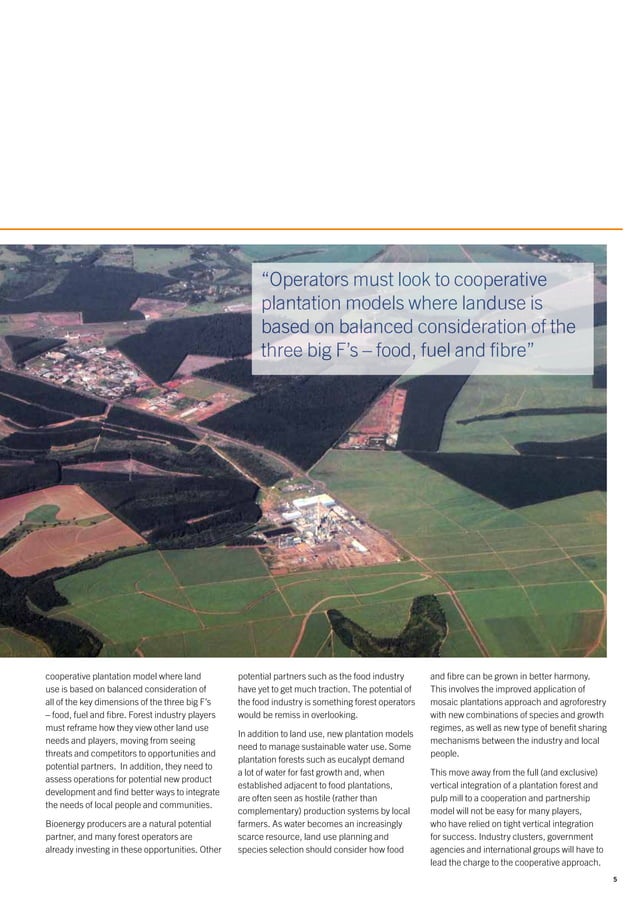 Poyry - How must plantation forestry change to survive? - Point of View ...