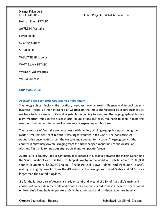 Global Business Plan | DOCX