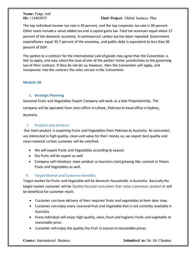 Global Business Plan | DOCX