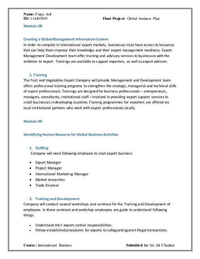 Global Business Plan