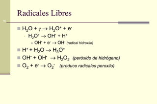 001 Efectos Biológicos de las radiaciones ionizantes.pdf