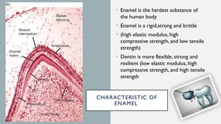 001 Enamel hypoplasiaffd [Autosaved].pptx