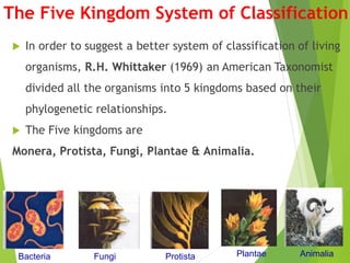 001 introduction to biodiversity | PPT