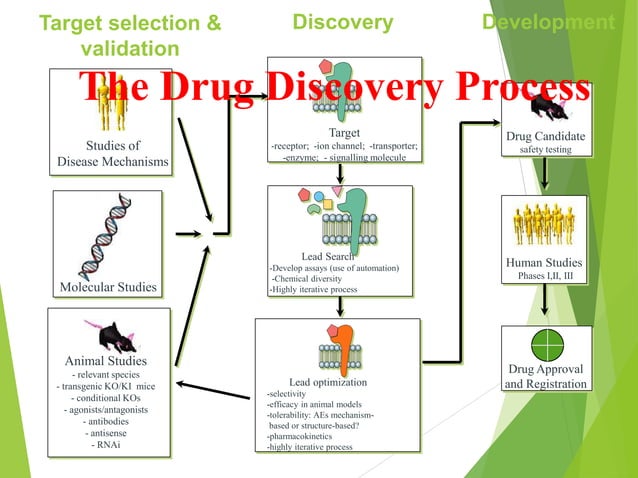 001 introduction to drug discovery | PPT