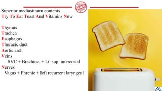 Mediastinum / Mediastinum / Mediastinum.pdf
