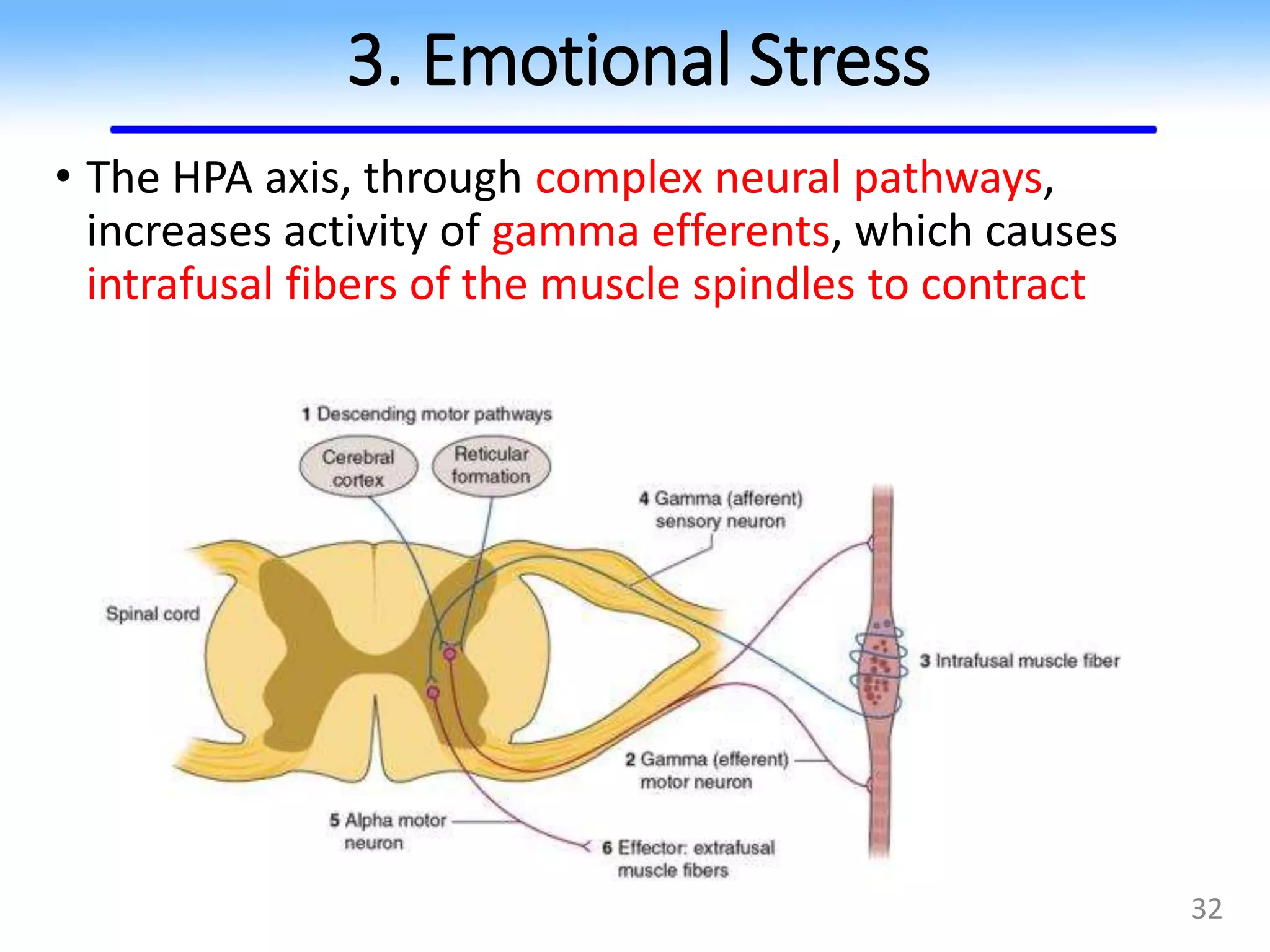 Temporomandibular Dysfunctions – Part 1(Etiology, Sign and Symptoms) | PPTX
