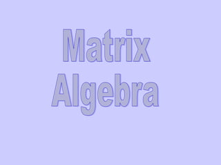 001 ppt Matrix Algebra and application in Undergraduate Mathematics | PPT