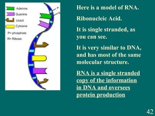 001 Teacher The Cell | PPT