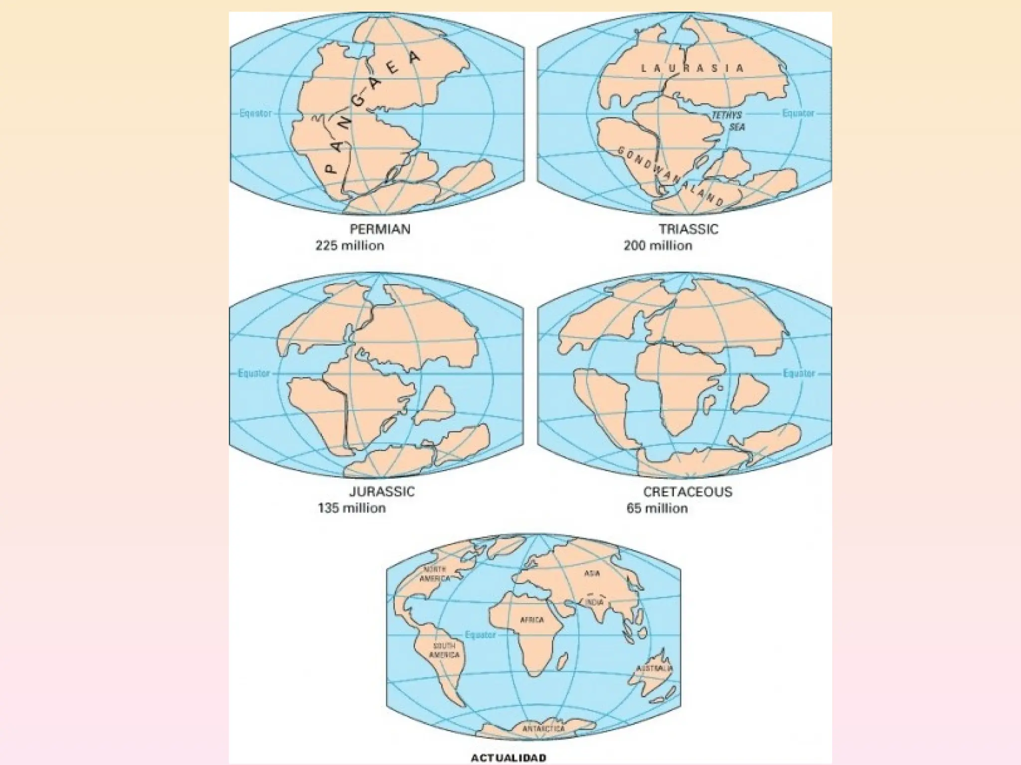 001_Unit 2_The formation of the Earths relief_Part.pdf