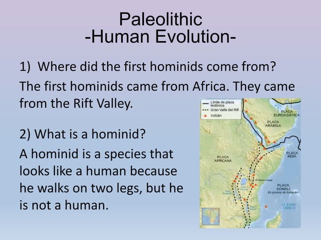 Unit 6: Prehistory - Human Evolution | PPT