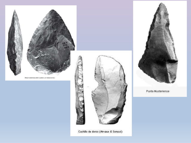 Unit 6: Prehistory - Human Evolution | PPT