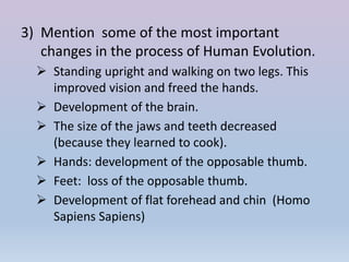 Unit 6: Prehistory - Human Evolution | PPTX | Geology | Science