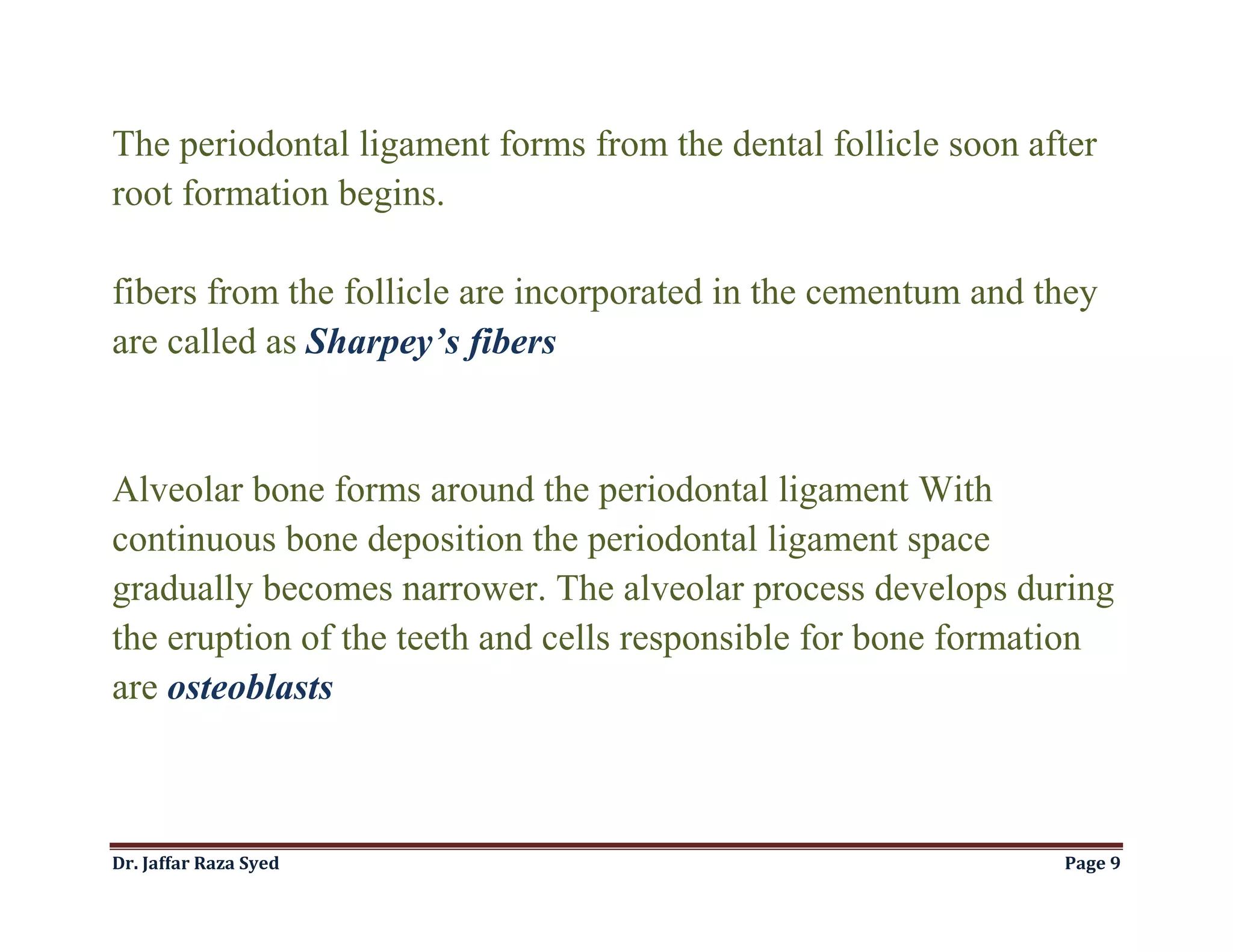 002.anatomy and development of structures of PDL | PPT