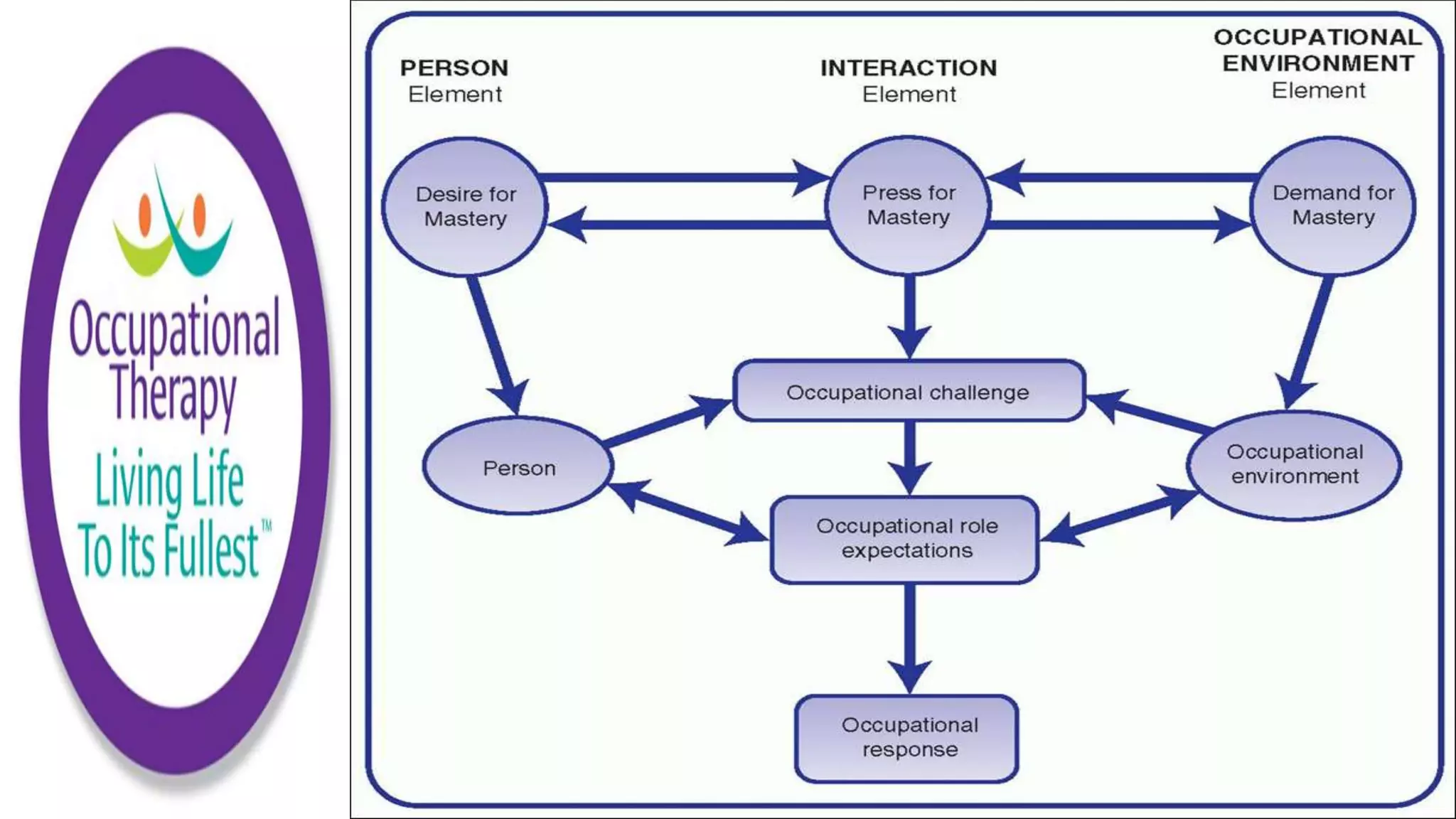 Model of Human Occupation | PPTX