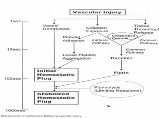Bleeding disorders Causes, Types, and Diagnosis | PPT