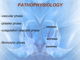 Bleeding disorders Causes, Types, and Diagnosis | PPT