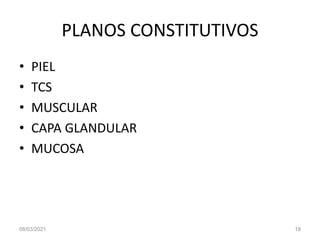 ANATOMIA DE CORTE - Regiones Superficiales de la Cara | PDF