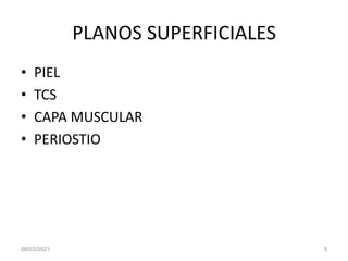 ANATOMIA DE CORTE - Regiones Superficiales de la Cara | PDF