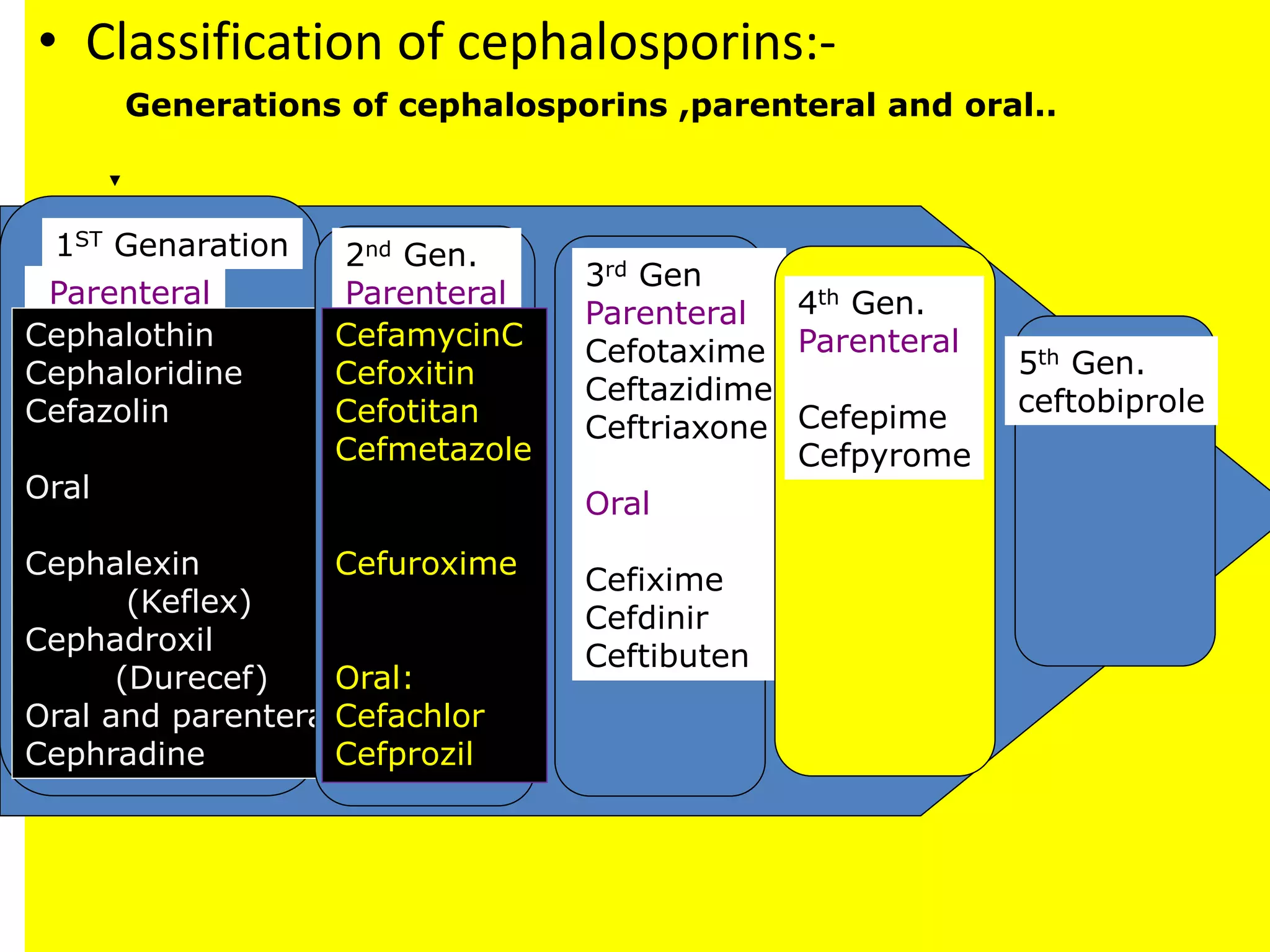002. Cephalosporins for students 2023 Prof. P. Ravisankar.pdf