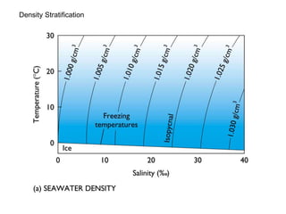 Density Of Ocean Water