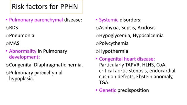 Seminar on PPHN | PPTX