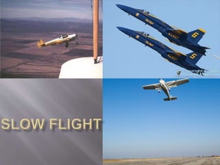 Slow Flight | PPTX
