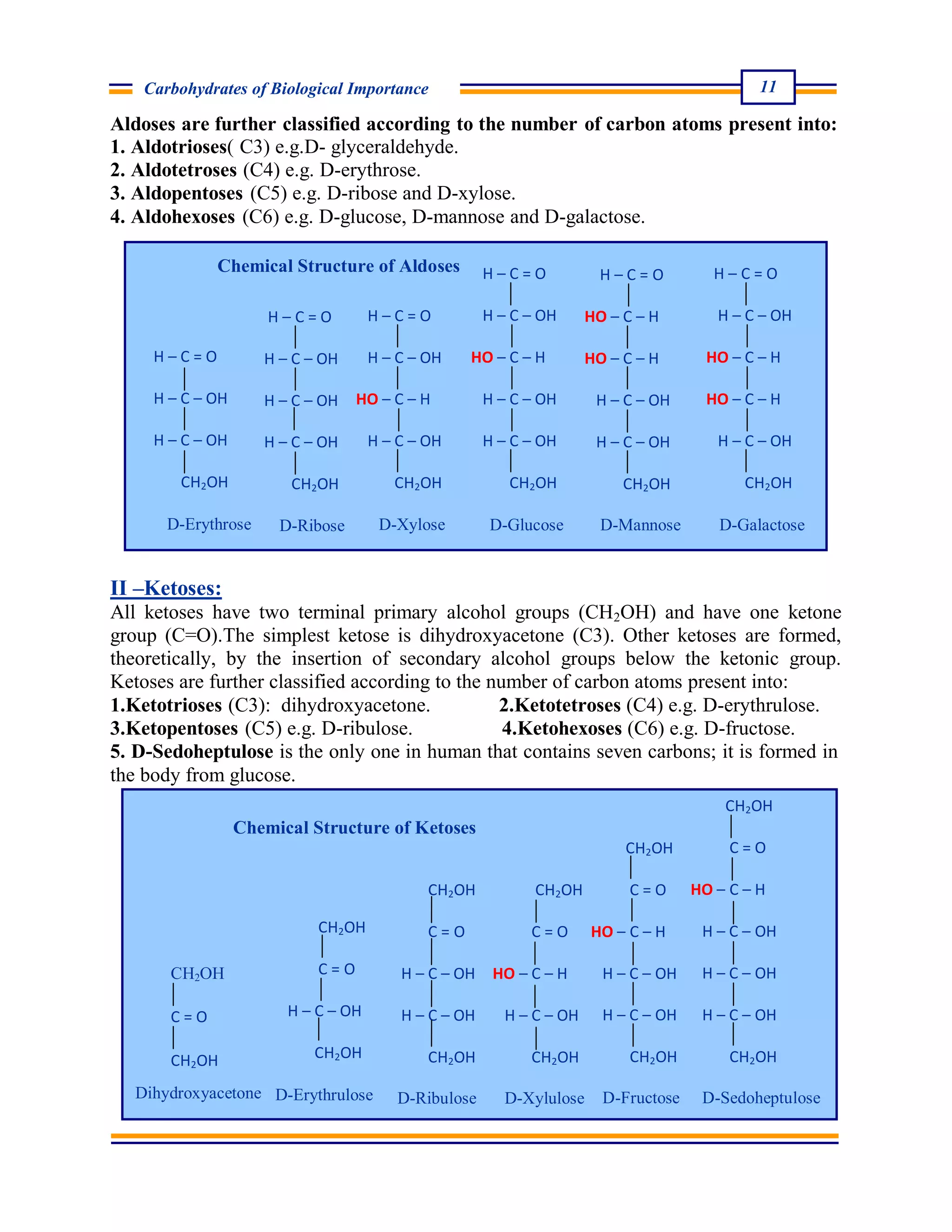 Carbohydrates notes | PDF