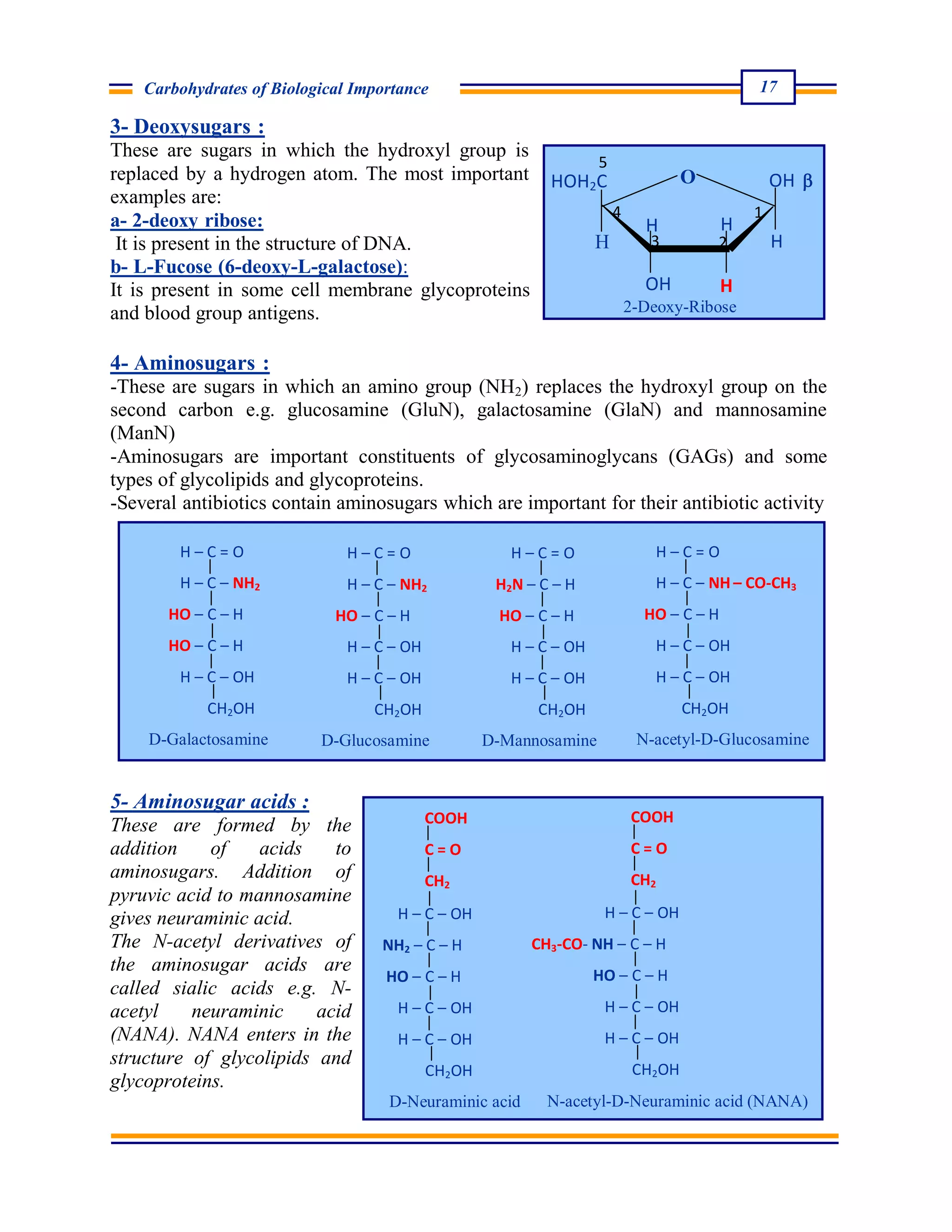 Carbohydrates notes | PDF