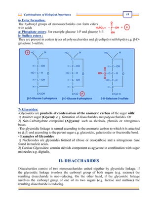 Carbohydrates notes | PDF