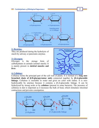 Carbohydrates notes | PDF