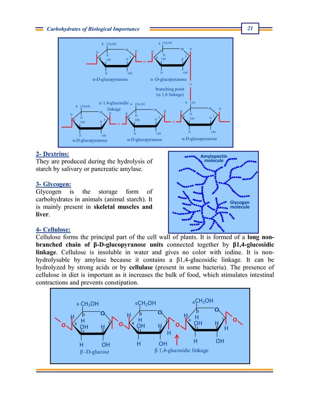 Carbohydrates notes | PDF | Chemistry | Science