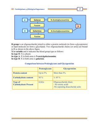 Carbohydrates notes | PDF