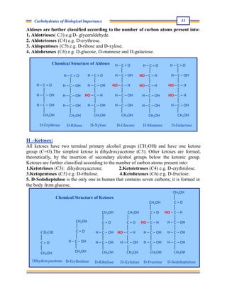 Carbohydrates notes | PDF