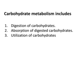 002 carbohydrate Metabolism 1.ppt