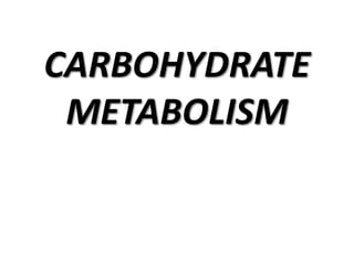 002 carbohydrate Metabolism 1.ppt
