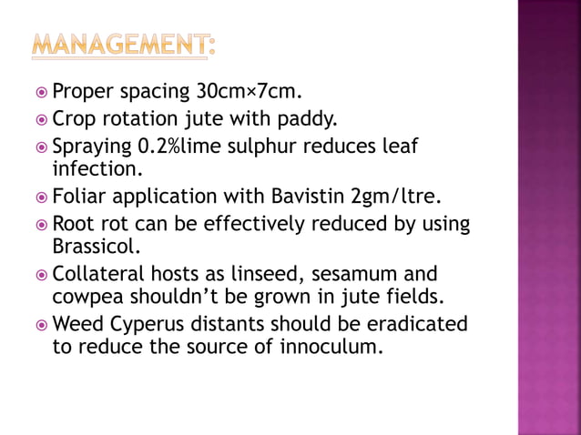 Damping off, collar rot/gummosis of citrus and Papaya and root rot of ...