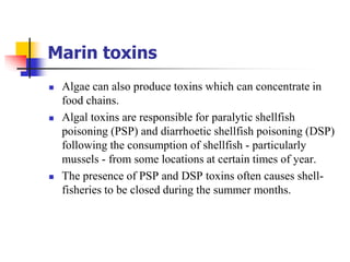 002_Food chemicals (1) 002_Food chemicals .ppt
