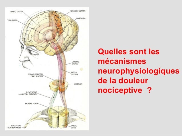 IRDC 2016, Neurophysiologie de la douleur