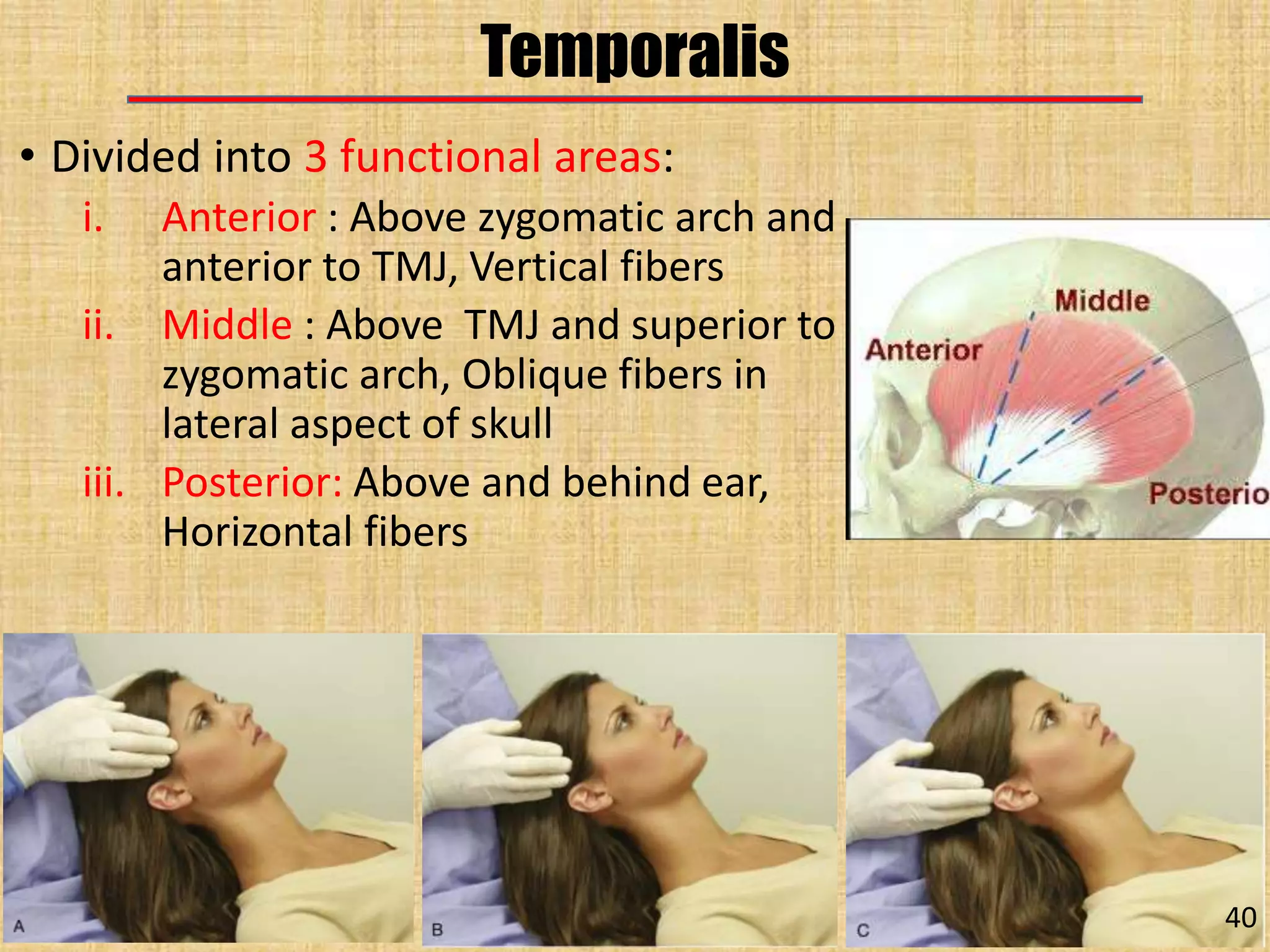 Temporomandibular Dysfunctions – Part 2 History, Clinical Examination ...