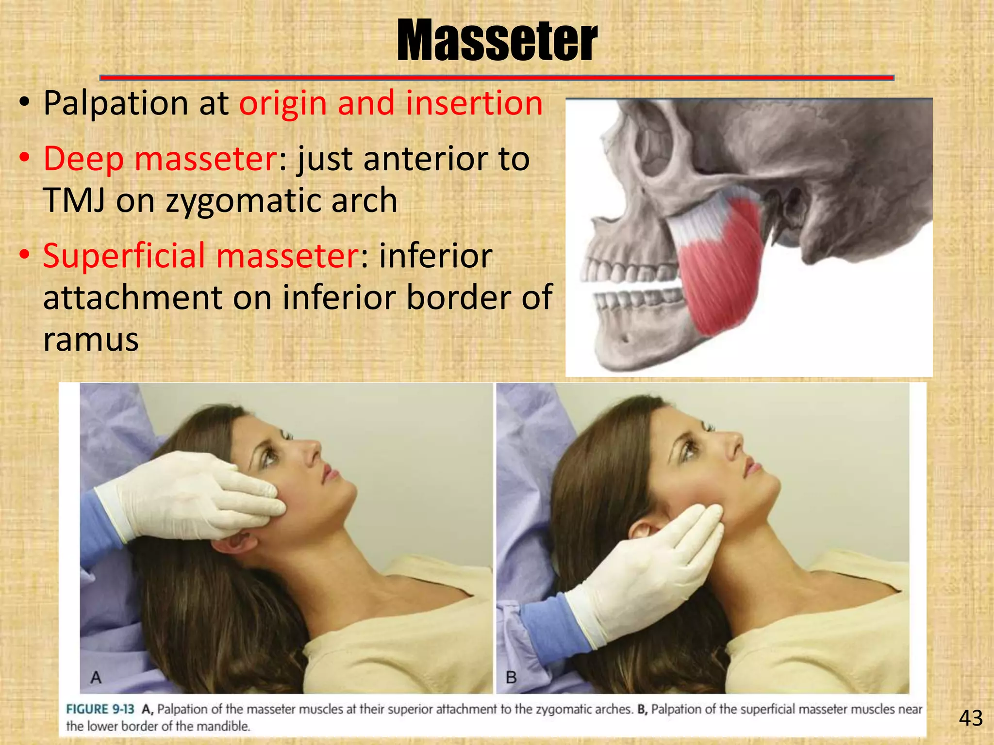 Temporomandibular Dysfunctions – Part 2 History, Clinical Examination ...