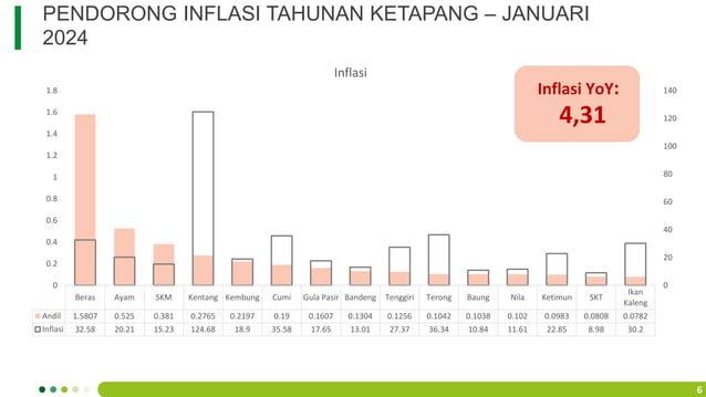 Inflasi Bulan Januari 2024 Kabupaten Ketapang | PPTX