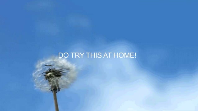 Example of Schuberg Philis | PPT