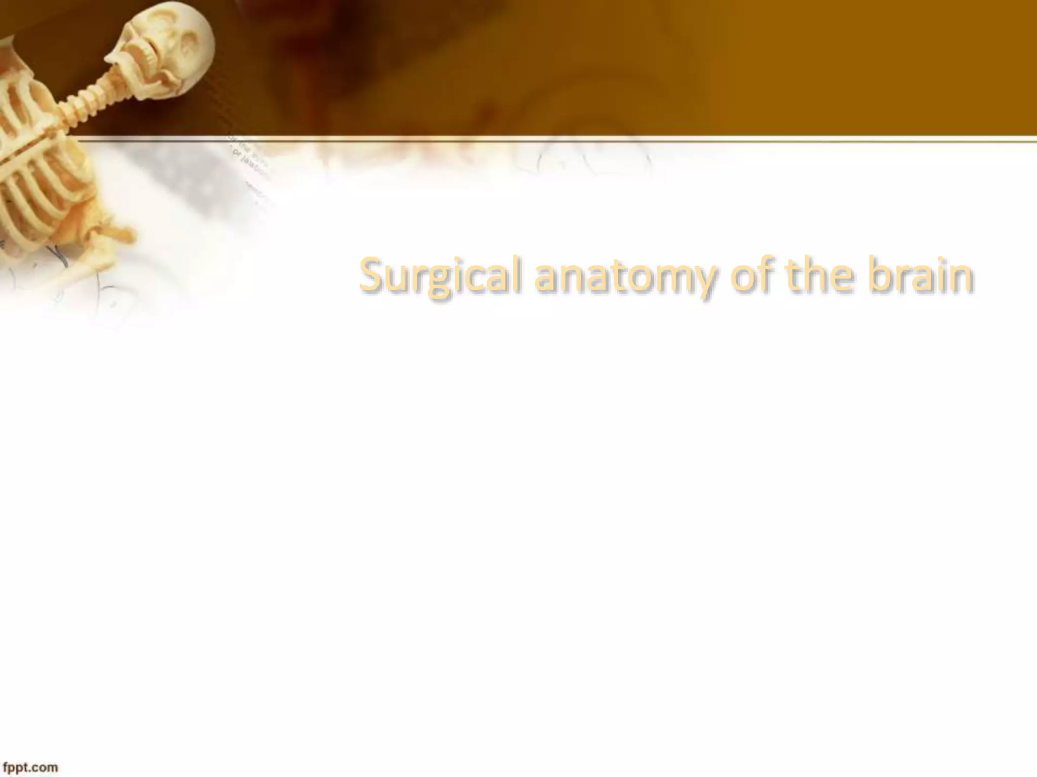 002 Surgical anatomy of the brain | PPTX