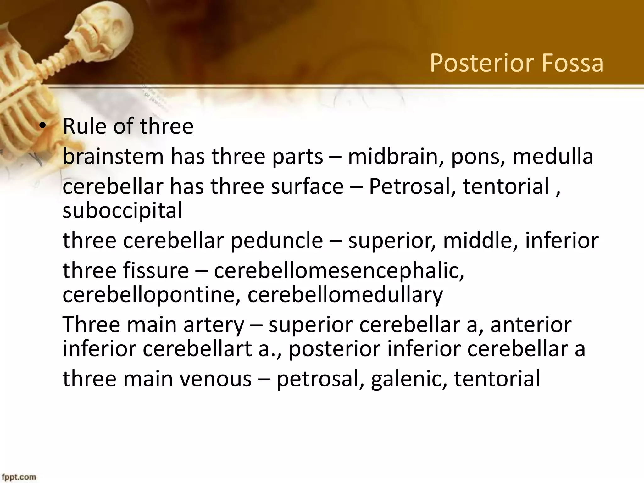 002 Surgical anatomy of the brain | PPTX