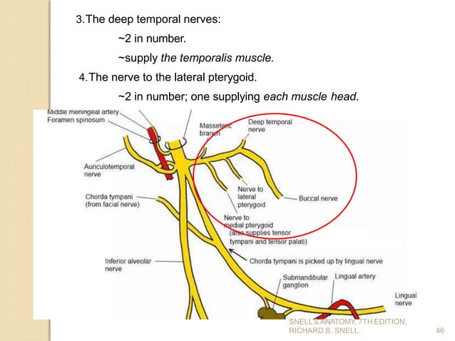 002 TRIGEMINAL NERVE.pptx