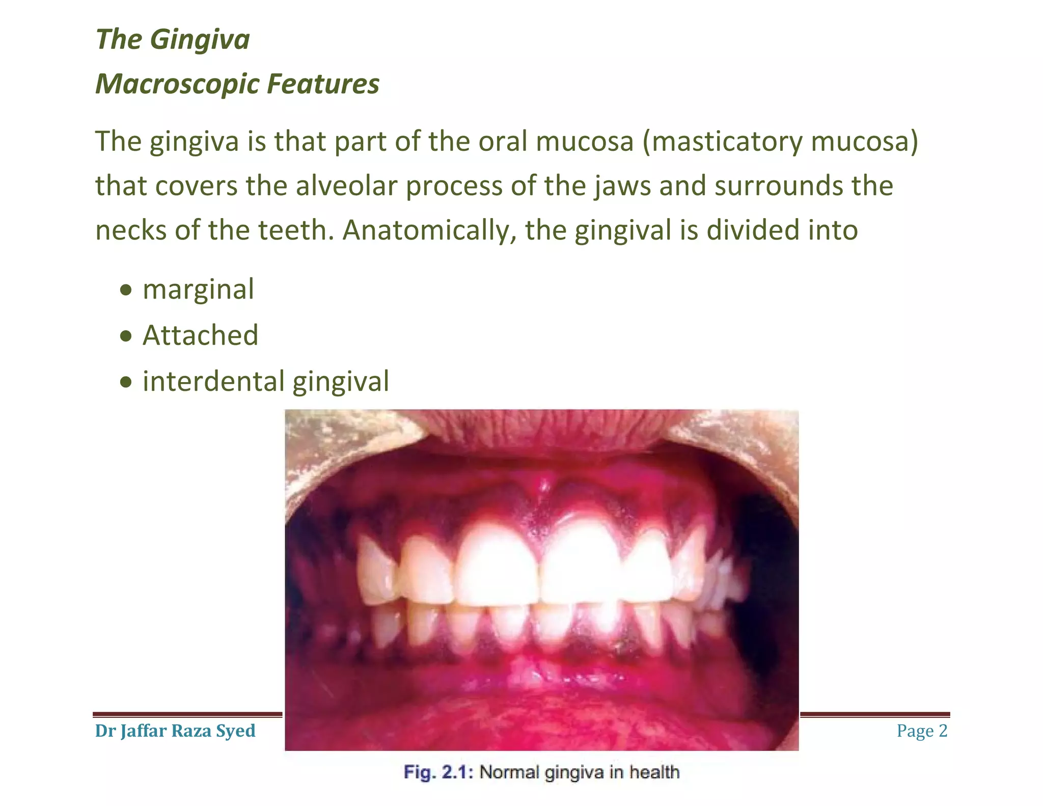 003.biology of periodontal tissues | PDF